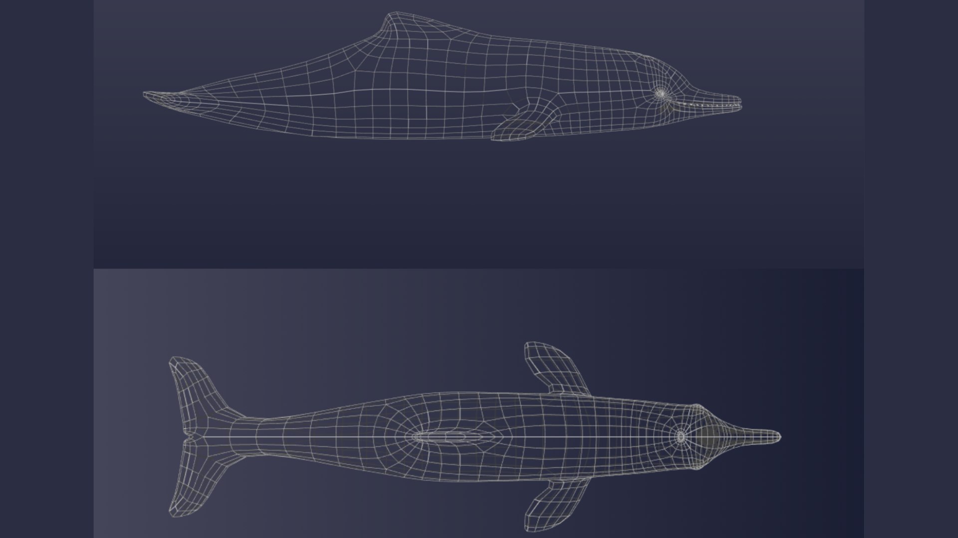 Boto 3D Model - TurboSquid 1696759