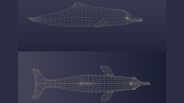 Boto 3D model - TurboSquid 1696759