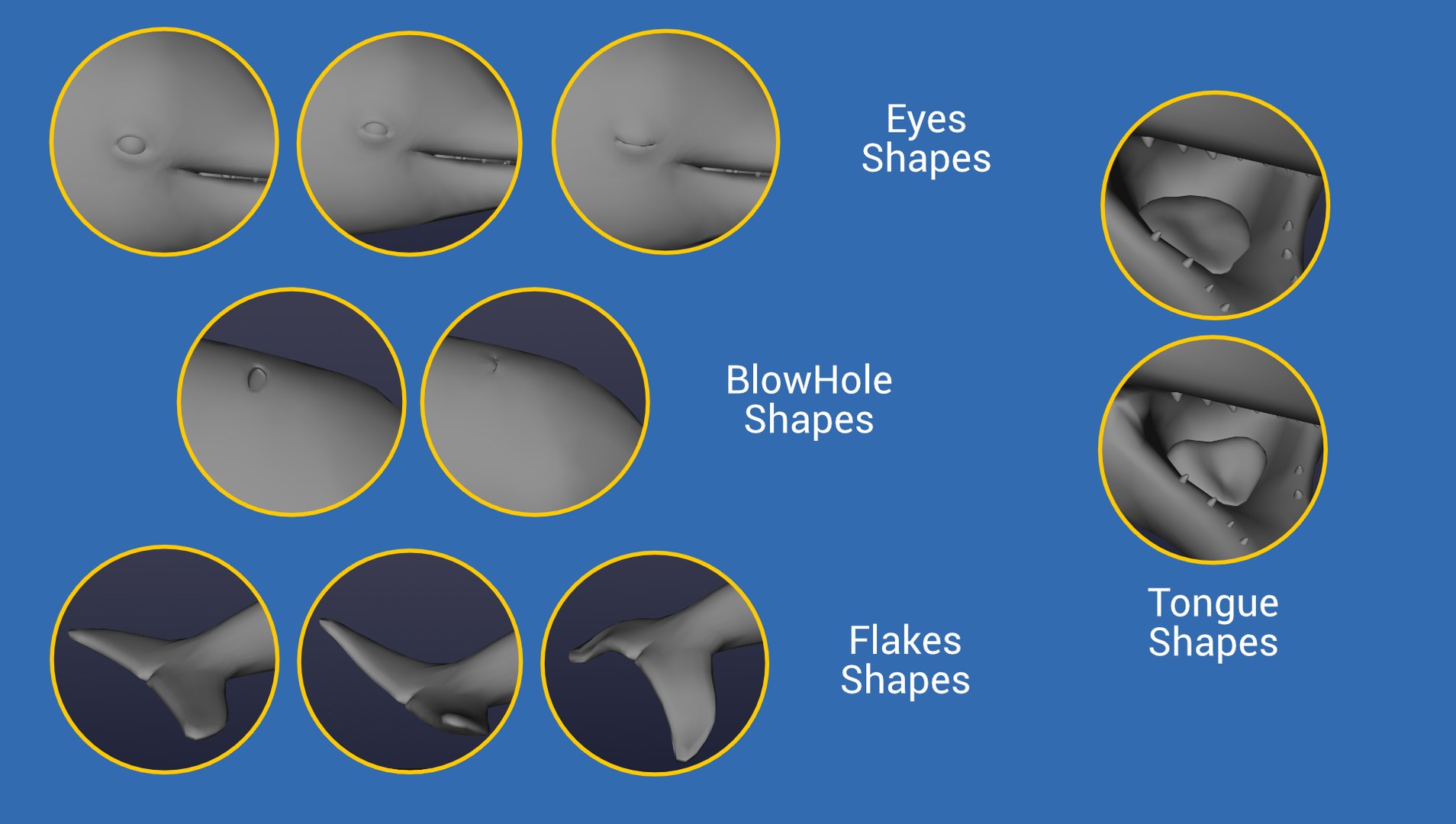 Boto 3D Model - TurboSquid 1696759