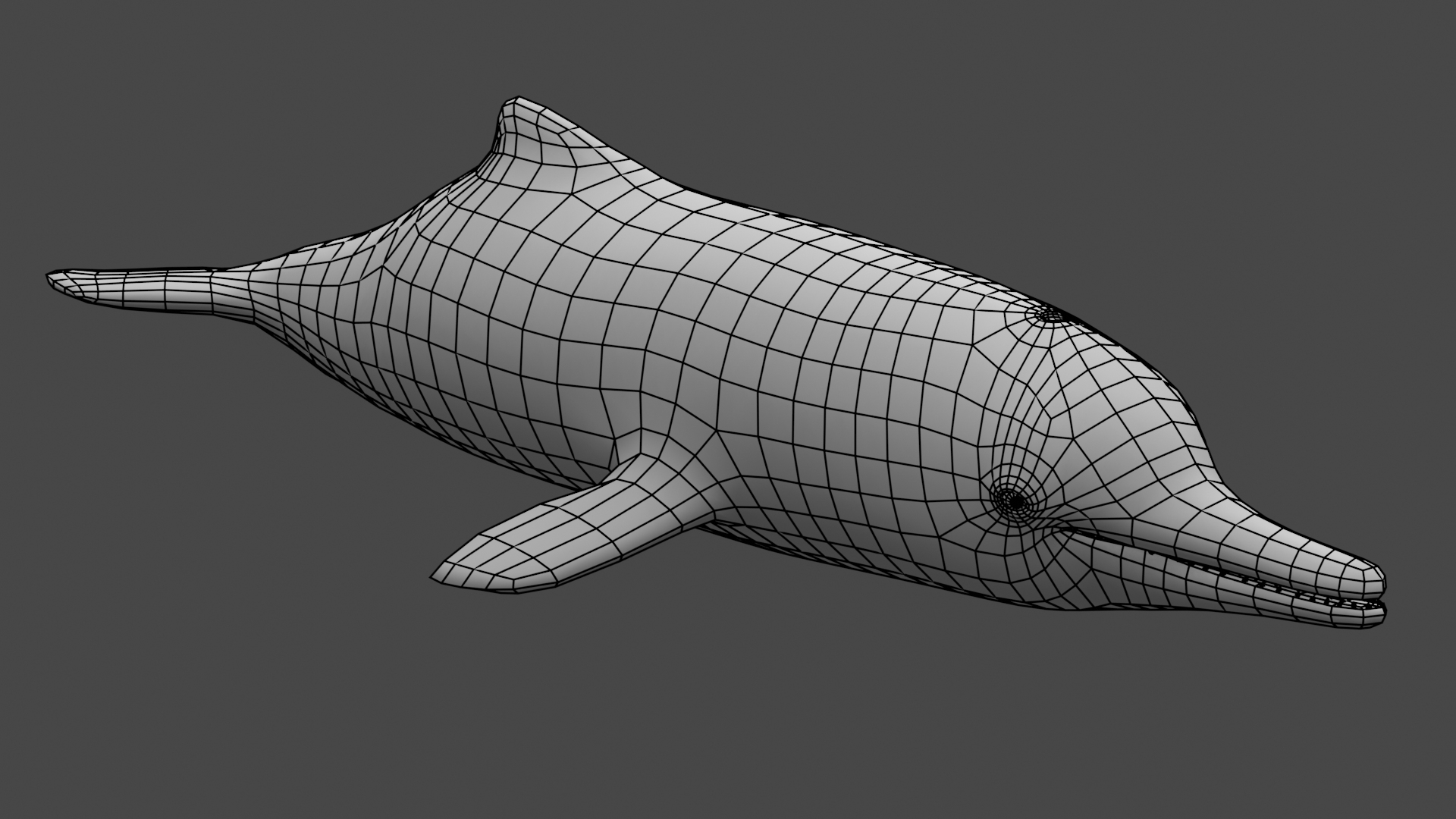 Boto 3D model - TurboSquid 1696759