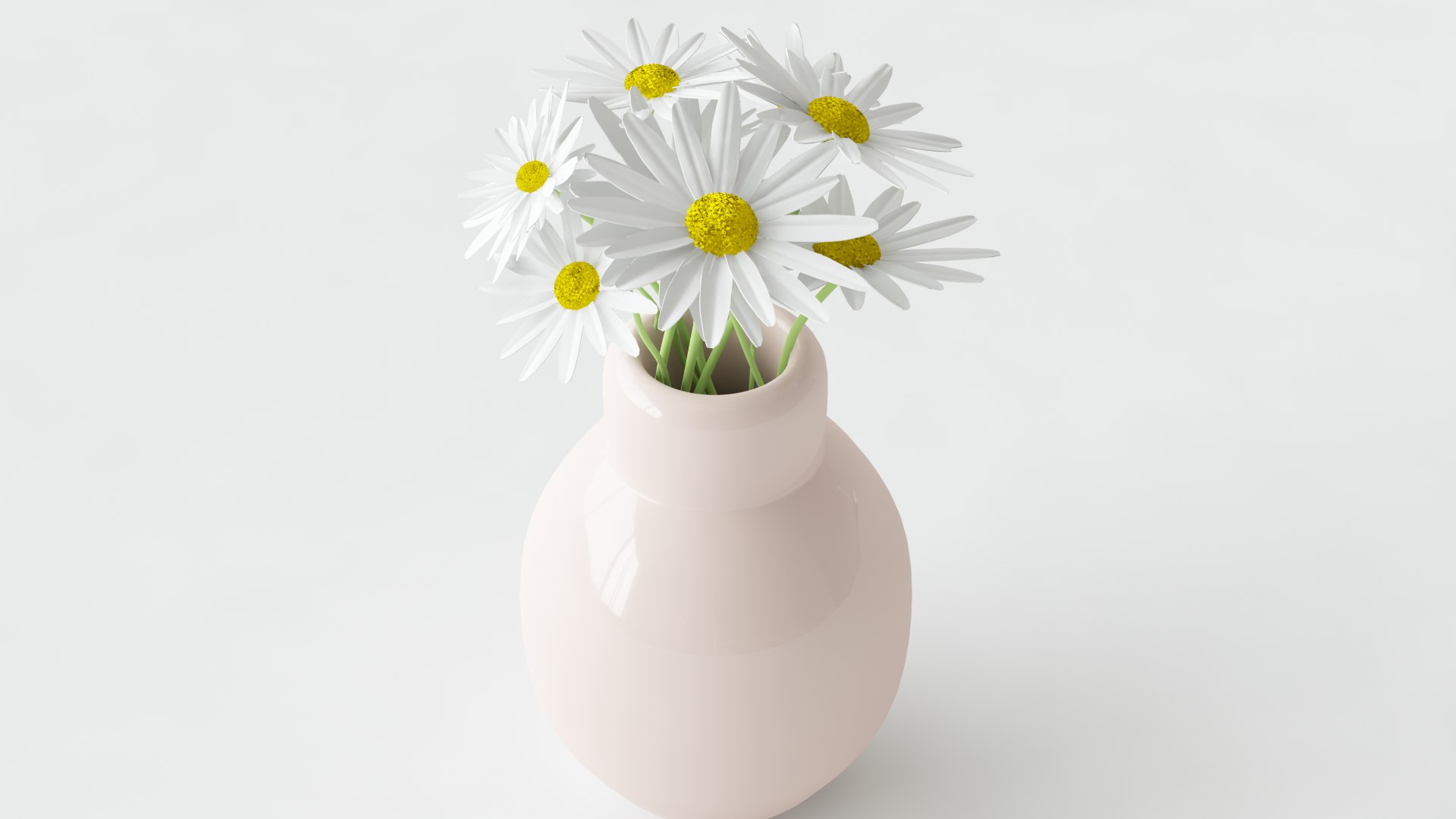 3d Daisy Flower Model