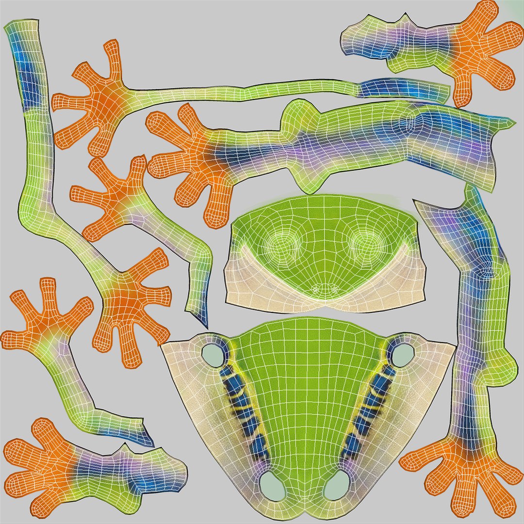 Red-Eyed Tree Frog 3D Model - TurboSquid 2271138