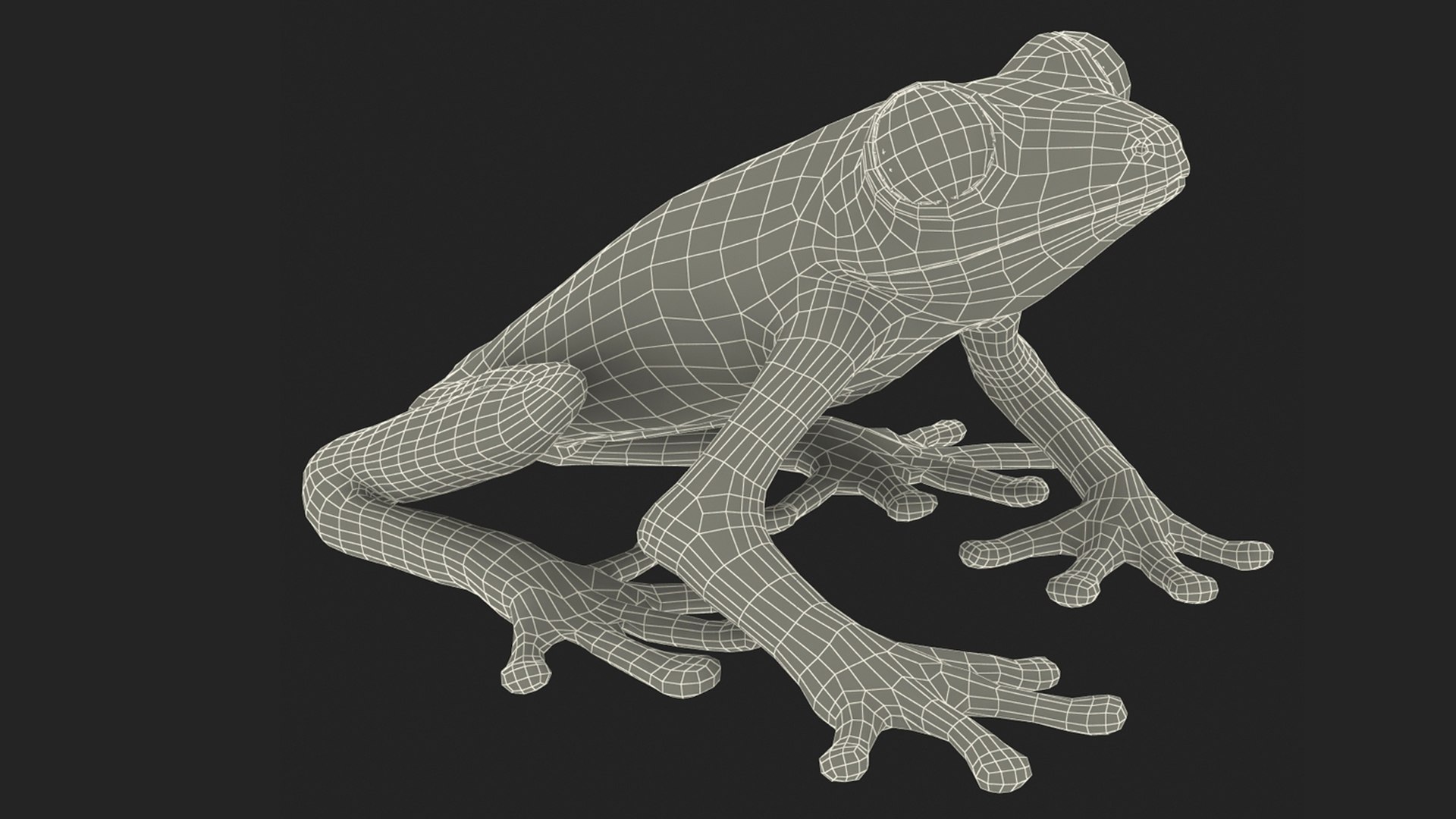 Red-Eyed Tree Frog 3D Model - TurboSquid 2271138