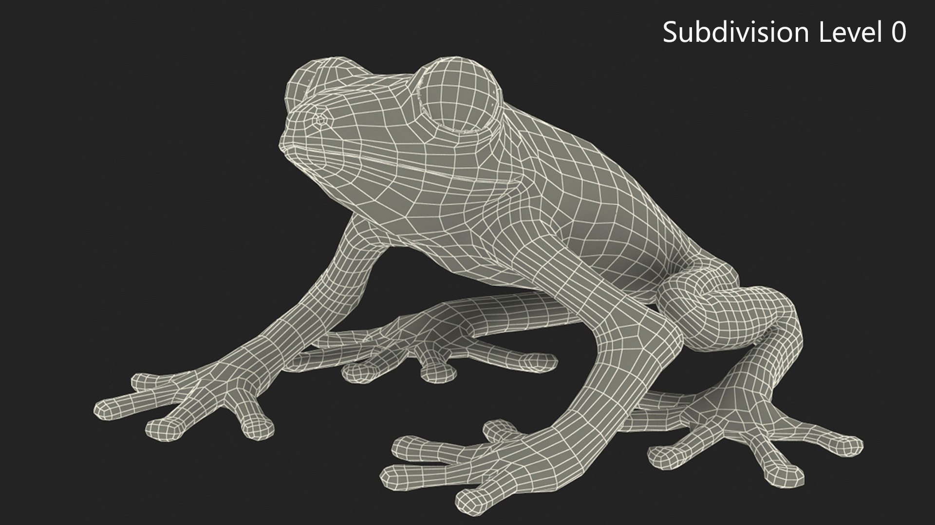 Red-Eyed Tree Frog 3D Model - TurboSquid 2271138