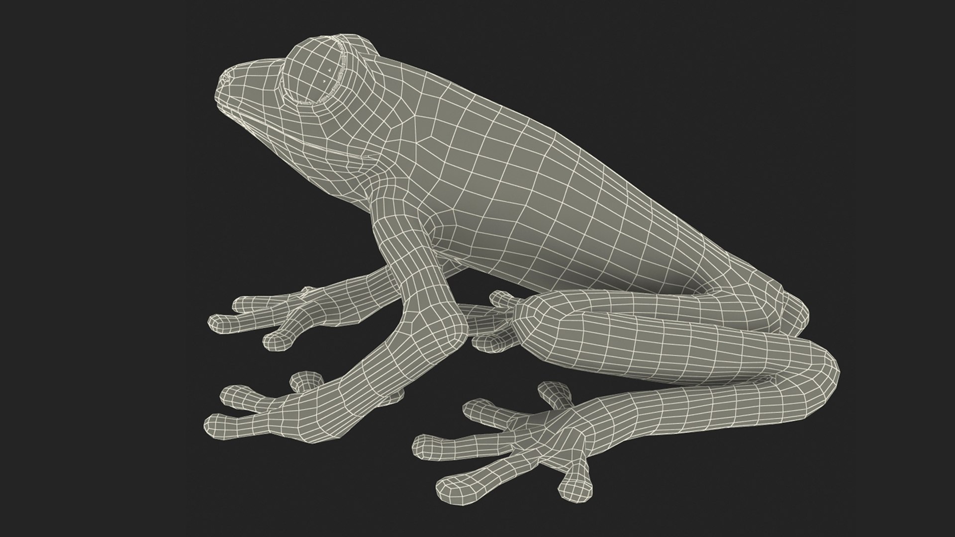 Red-Eyed Tree Frog 3D Model - TurboSquid 2271138