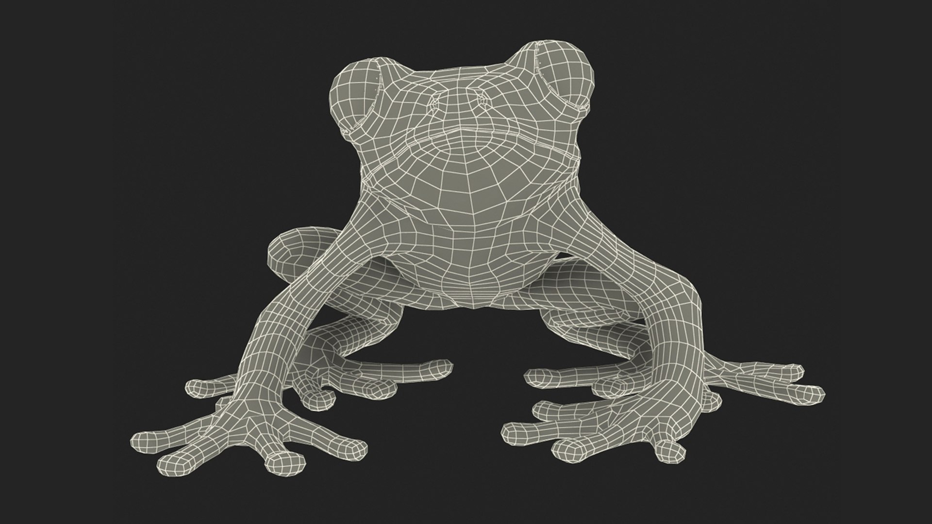 Red-Eyed Tree Frog 3D Model - TurboSquid 2271138