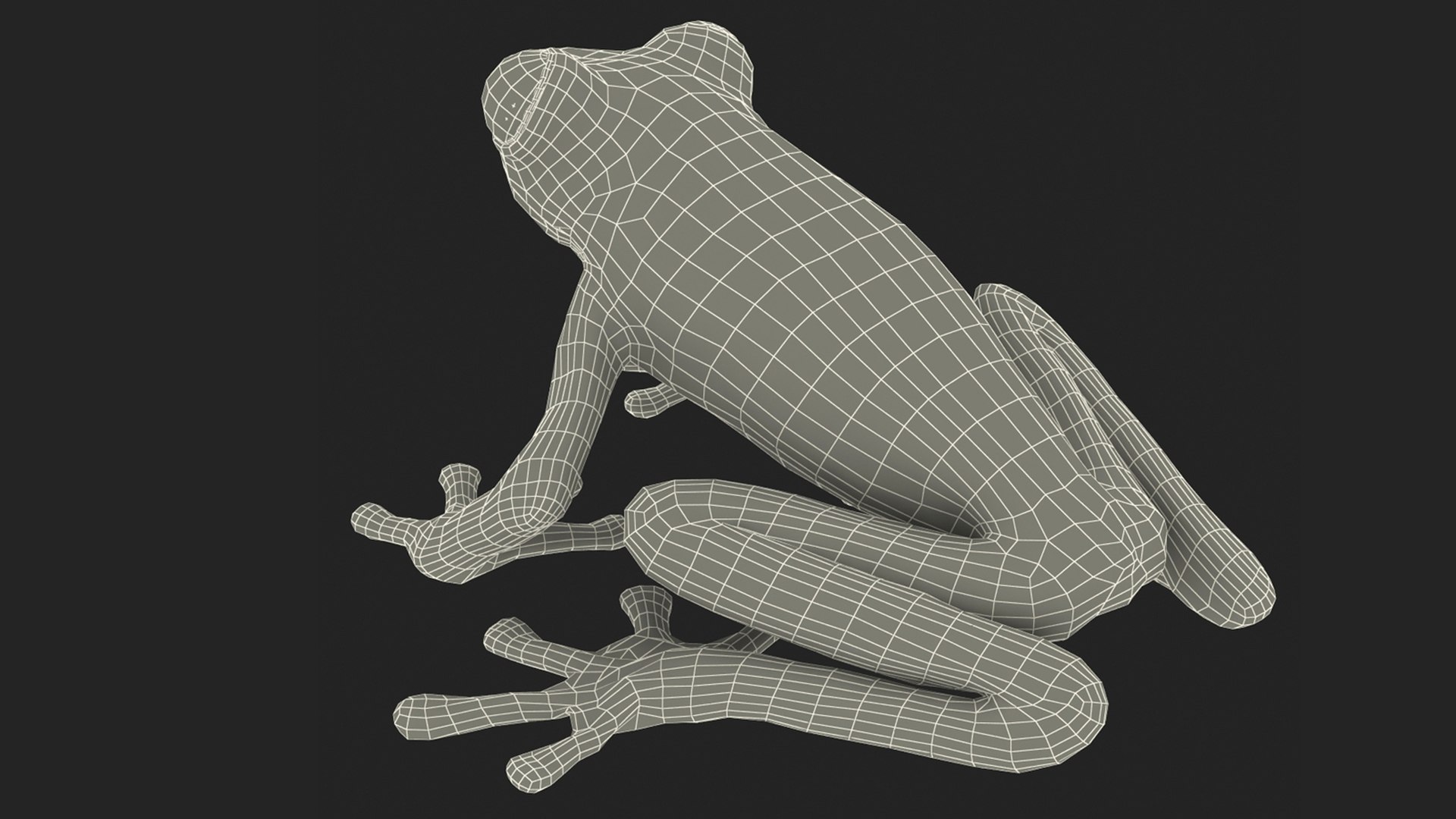 Red-Eyed Tree Frog 3D Model - TurboSquid 2271138