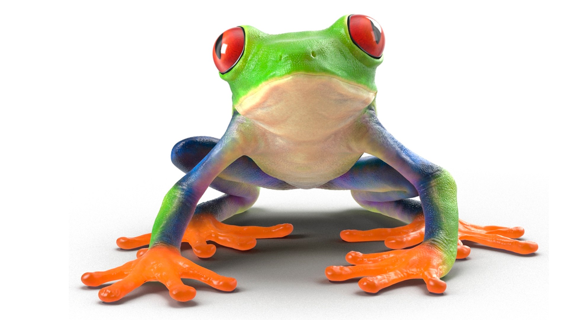 Red-Eyed Tree Frog 3D Model - TurboSquid 2271138