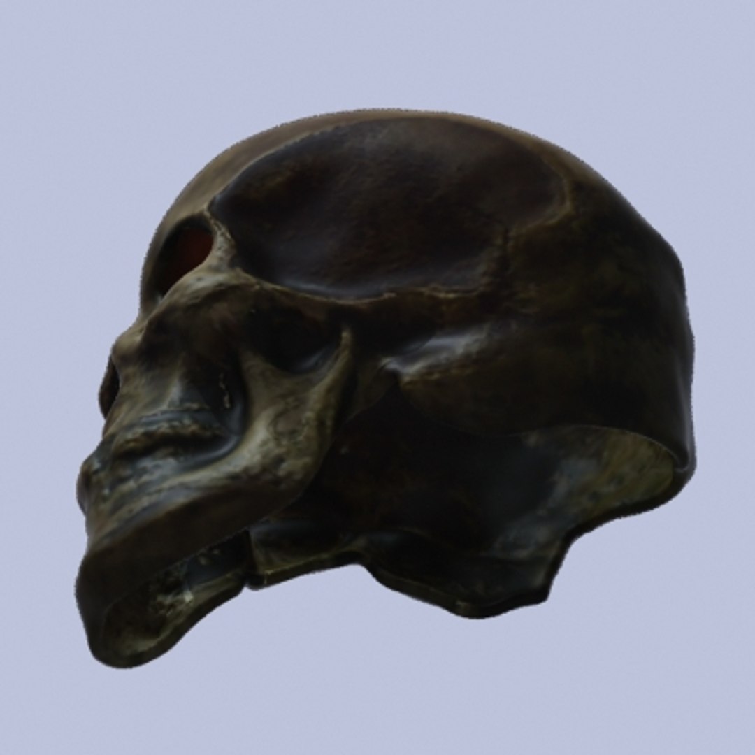 Broken Human Skull 3d Model