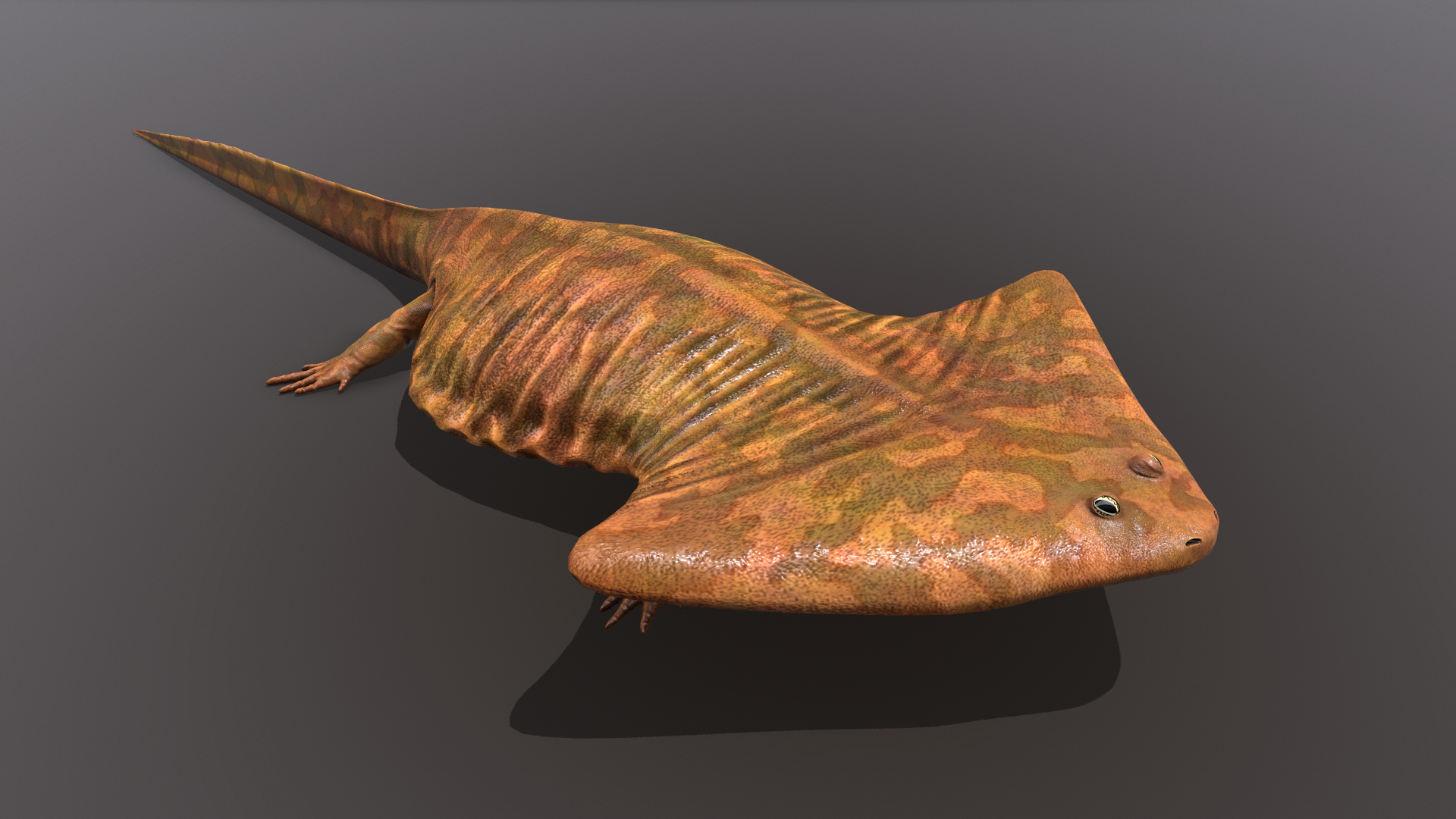 modèle 3D de Diplocaulus magnicornis - TurboSquid 1455433