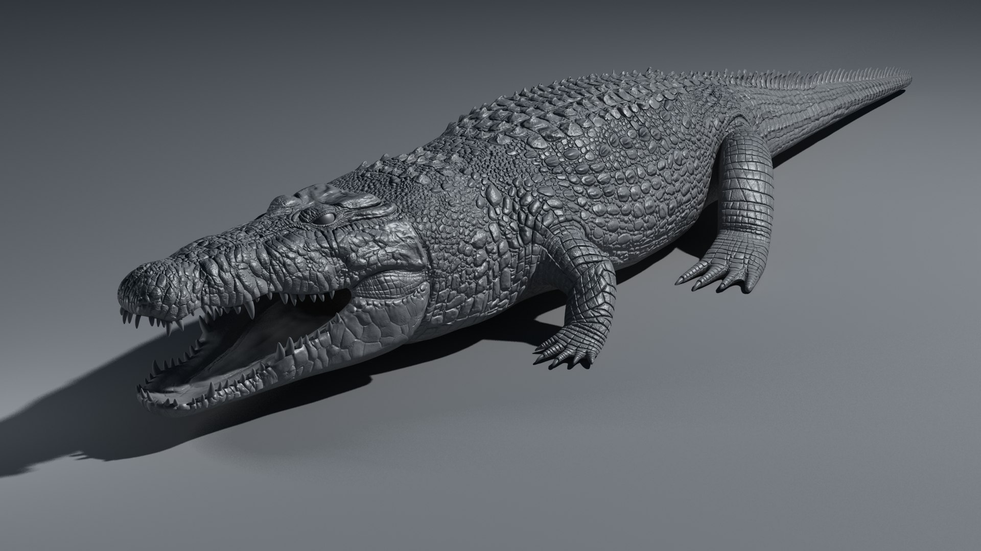 3d Realistic Crocodile Rigged