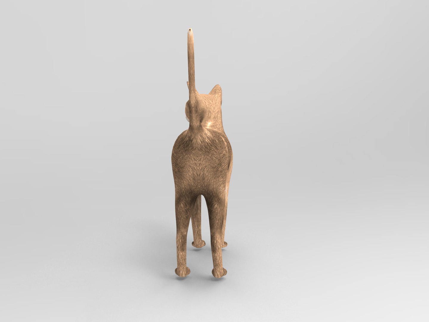 3d Cat Rigged Model