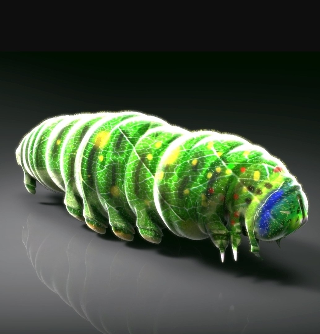 Larva Green 3D Model - TurboSquid 1199402