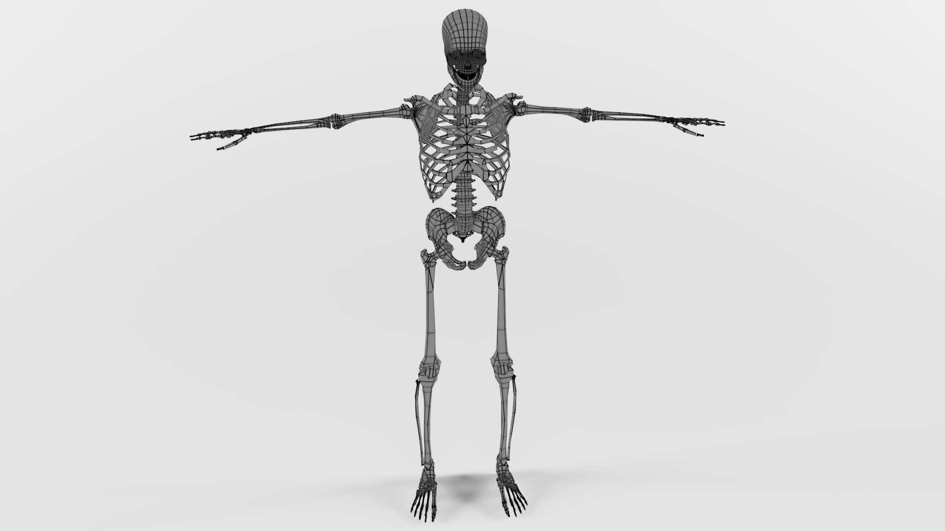 3D Skeleton System Model - TurboSquid 2022159
