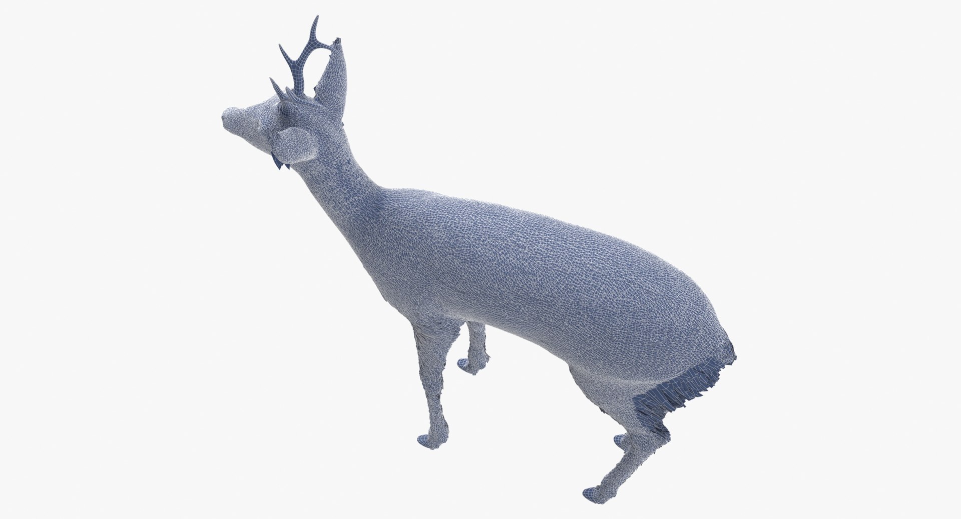 3D European Roe Deer Male Adult 01 - TurboSquid 2314013