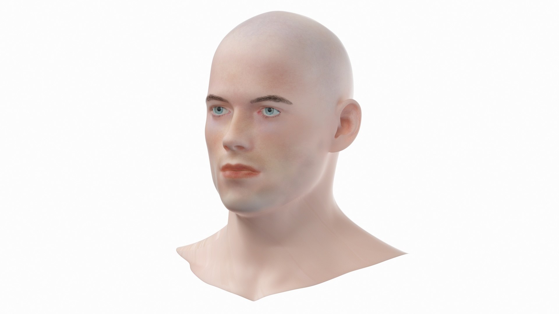 Human Male Head Anatomy 3D - TurboSquid 1737047