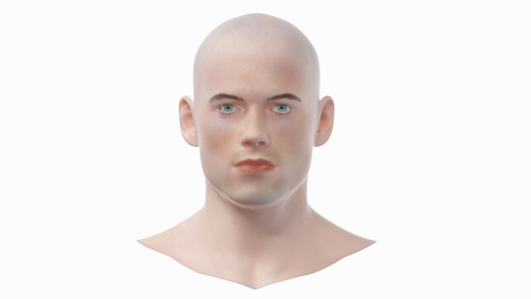 Human Male Head Anatomy 3D - TurboSquid 1737047