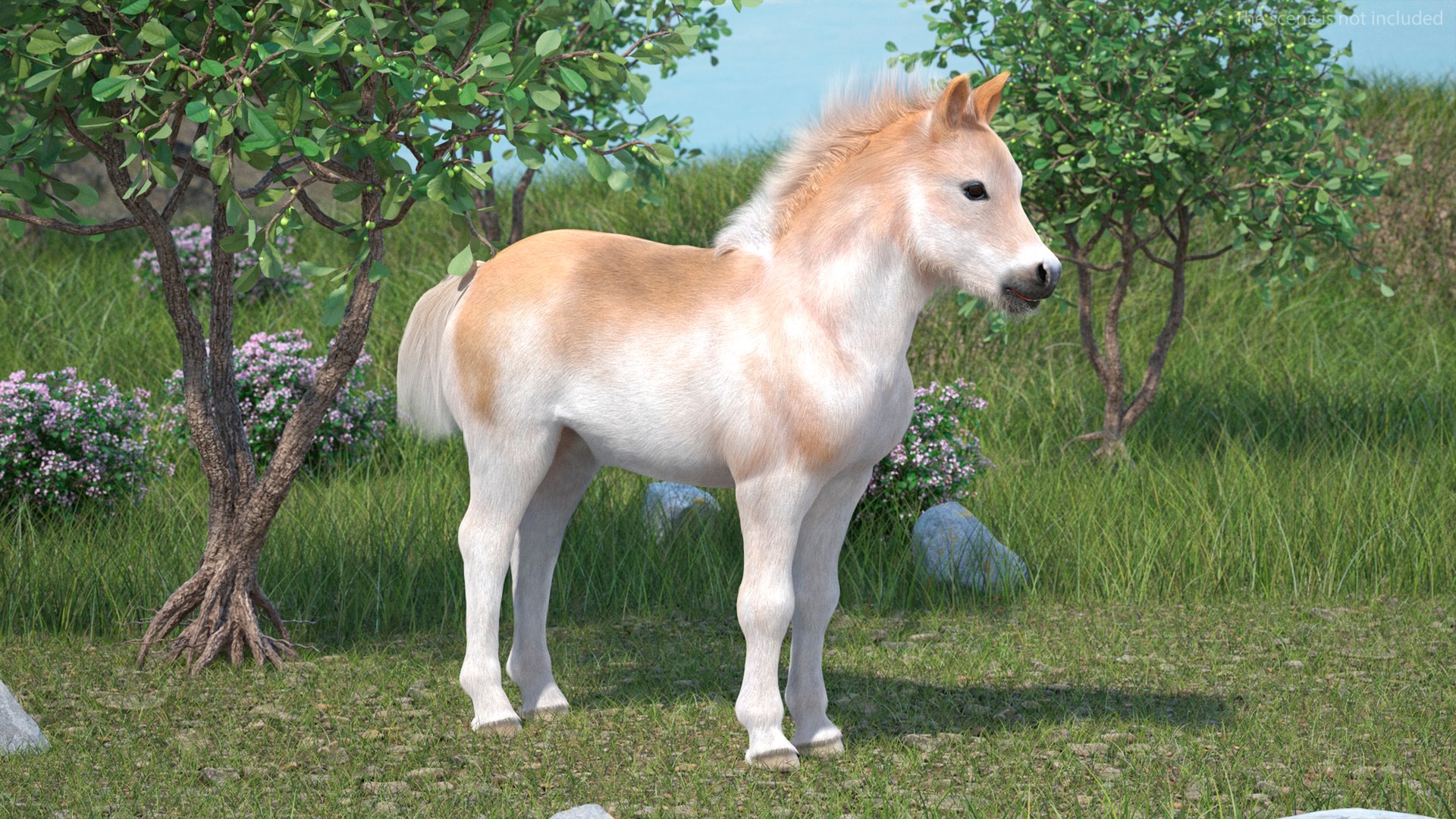 3D Model Realistic Shetland Pony Fur Rigged - TurboSquid 2237157