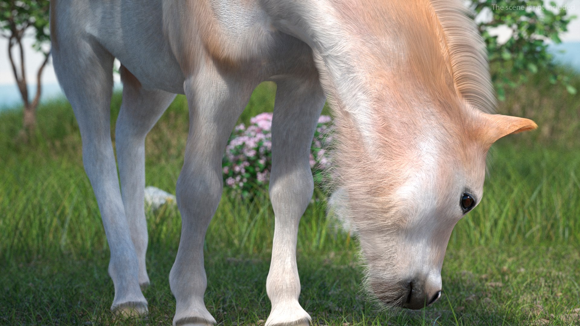 3D Model Realistic Shetland Pony Fur Rigged - TurboSquid 2237157