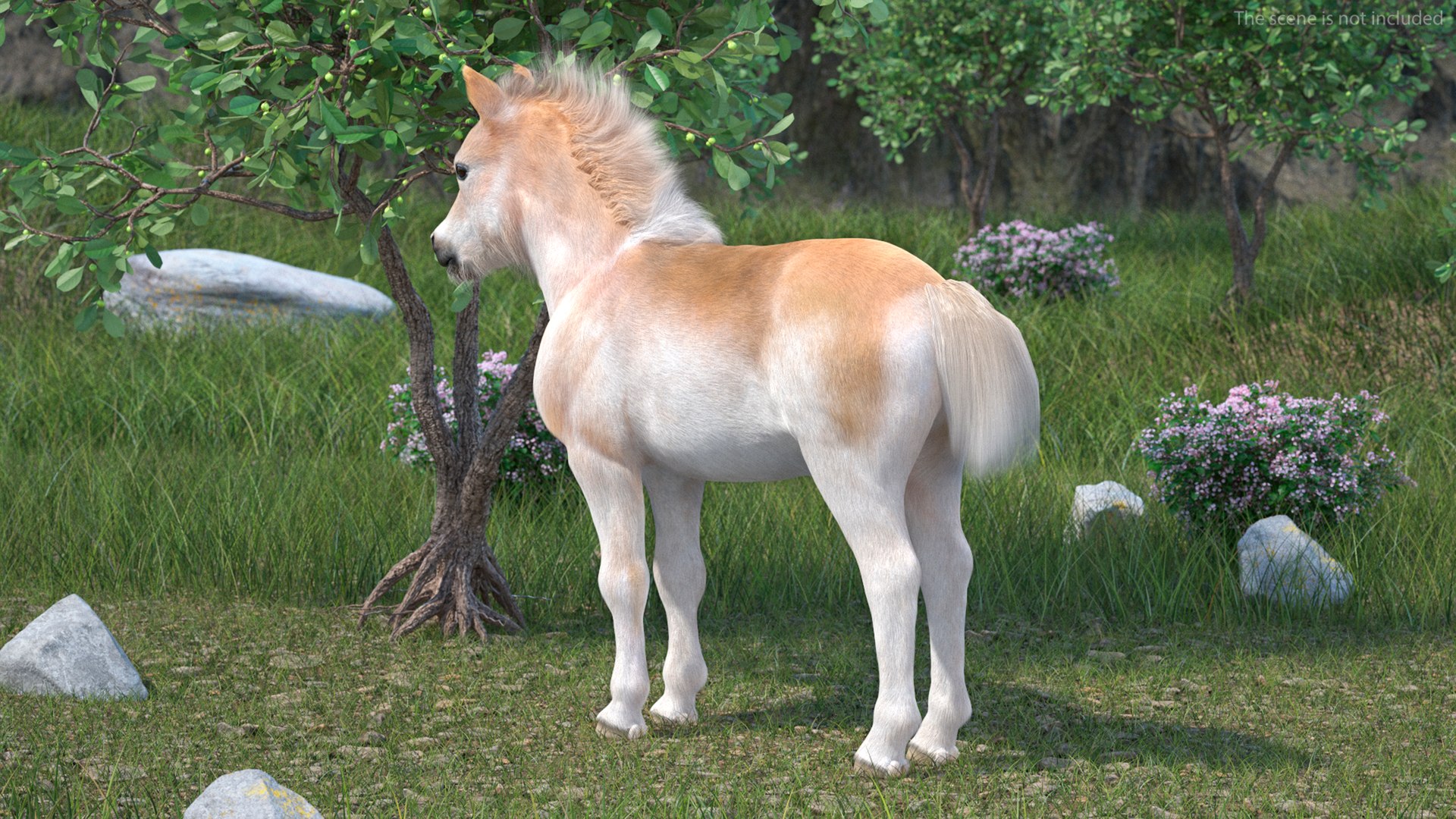3D Model Realistic Shetland Pony Fur Rigged - TurboSquid 2237157