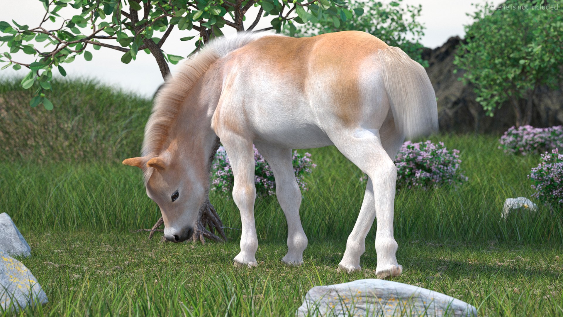 3D Model Realistic Shetland Pony Fur Rigged - TurboSquid 2237157