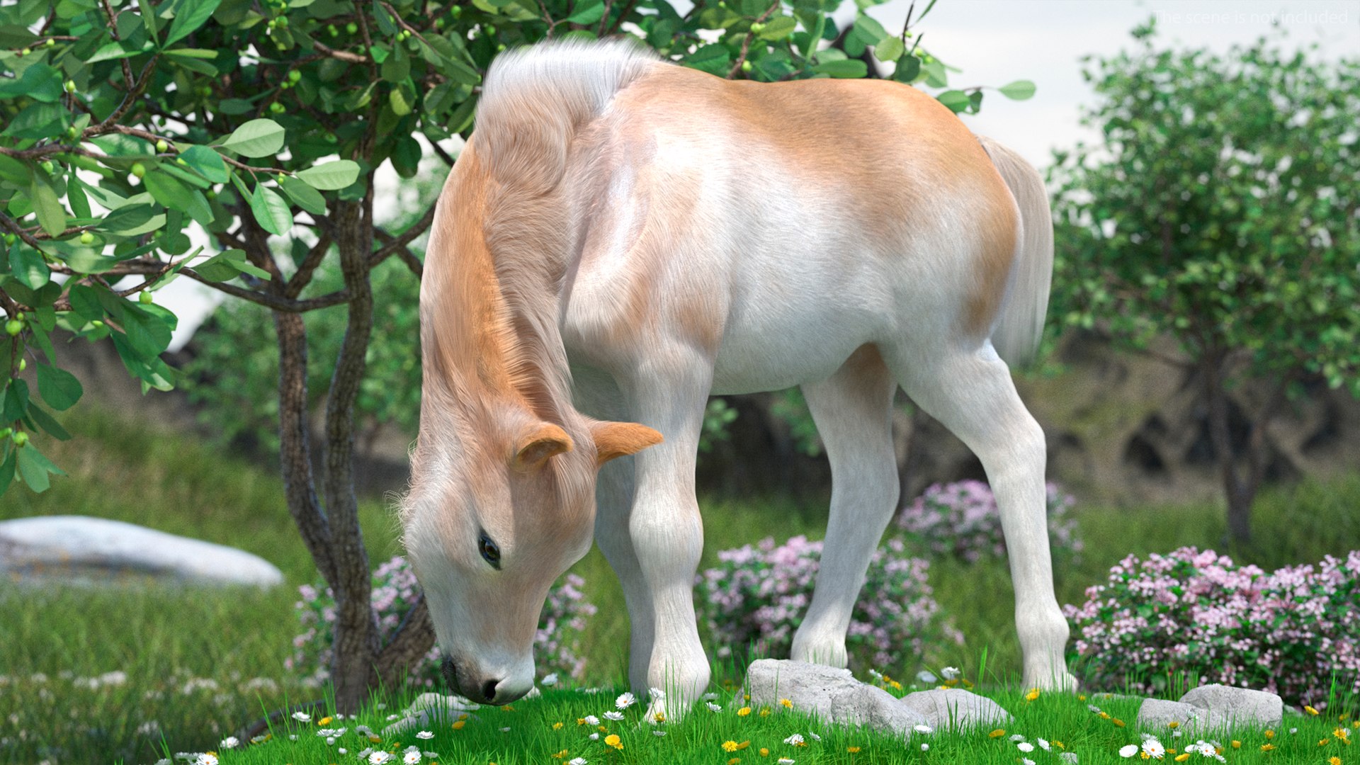 3D Model Realistic Shetland Pony Fur Rigged - TurboSquid 2237157