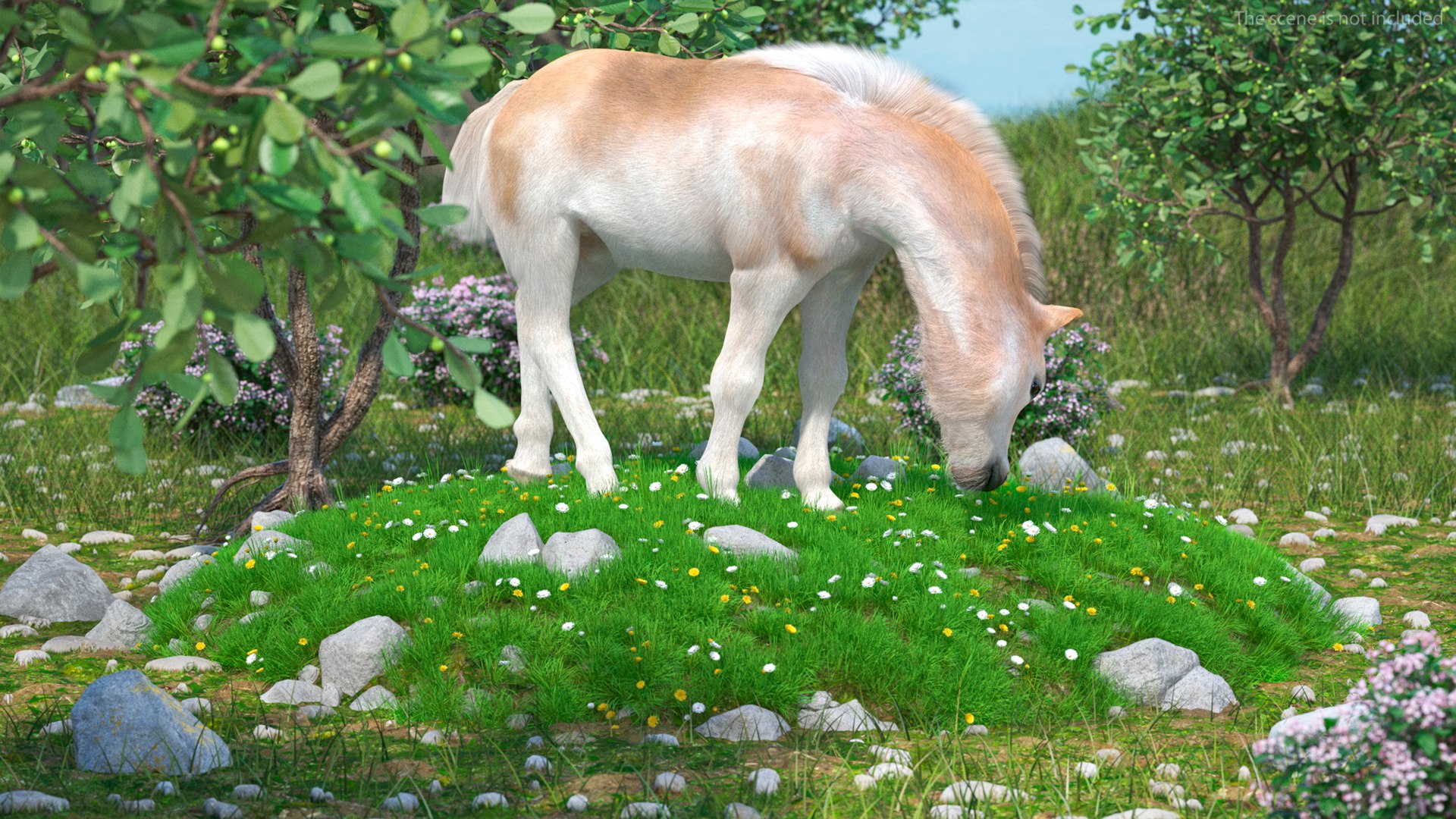 3D Model Realistic Shetland Pony Fur Rigged - TurboSquid 2237157