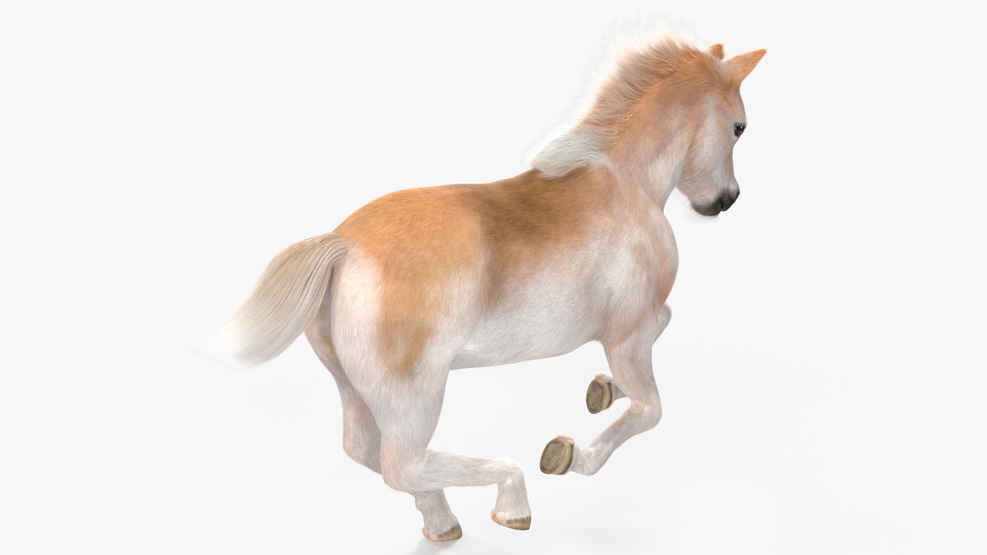 3D Model Realistic Shetland Pony Fur Rigged - TurboSquid 2237157