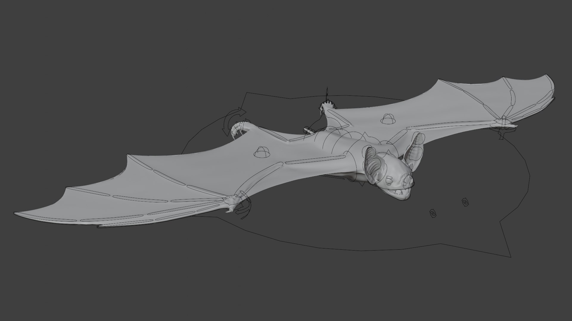 3D Realistic Vampire Bat Model - TurboSquid 1704806