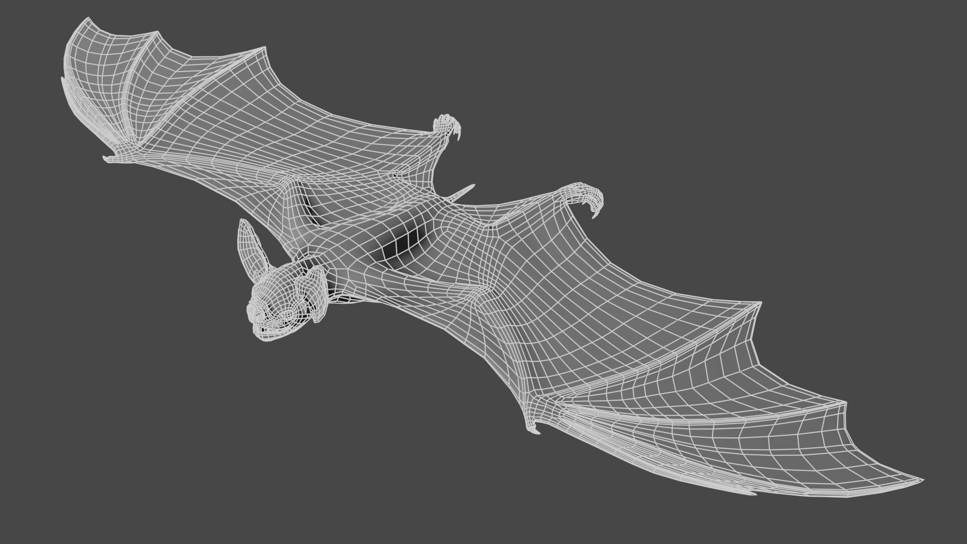 3D Realistic Vampire Bat Model - TurboSquid 1704806