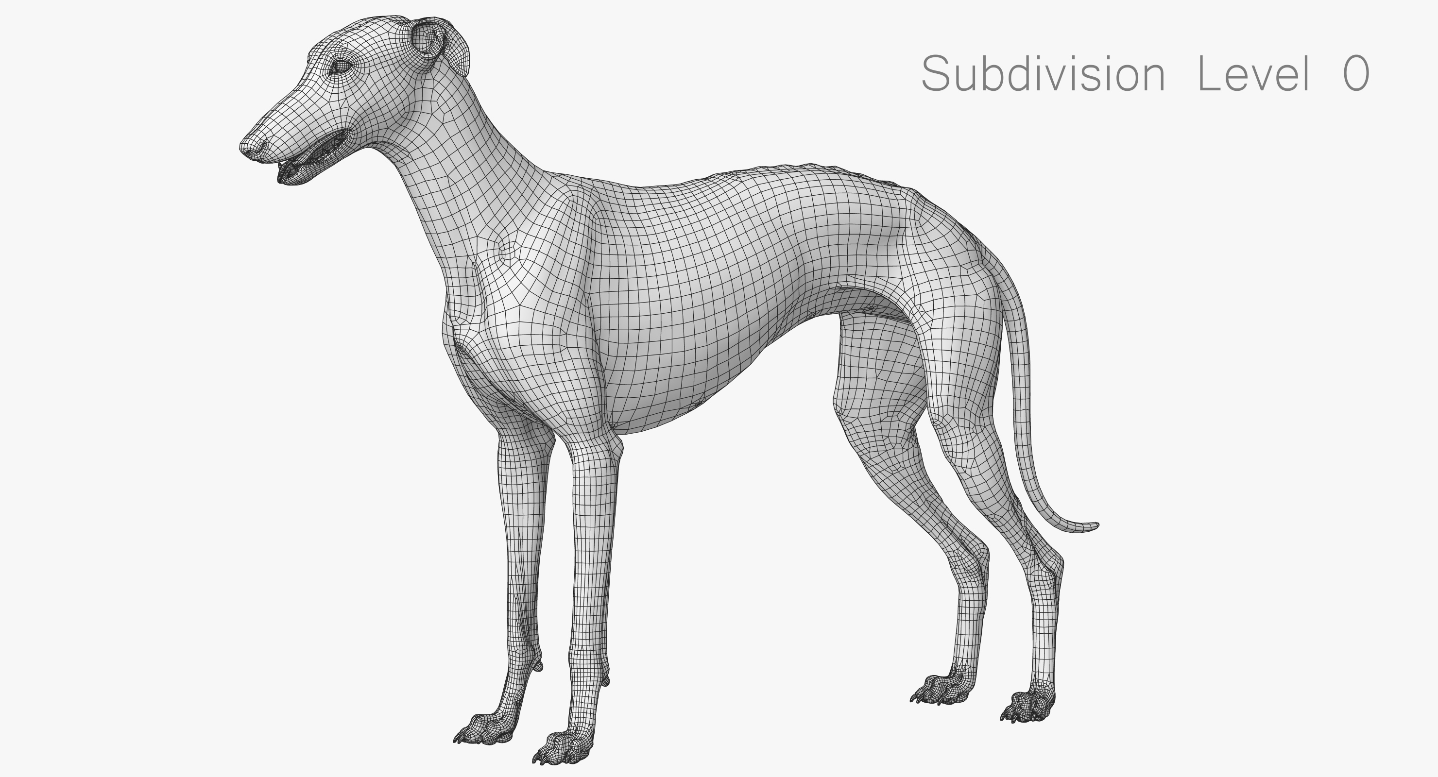 Modello 3D Greyhound Animated - TurboSquid 1654122