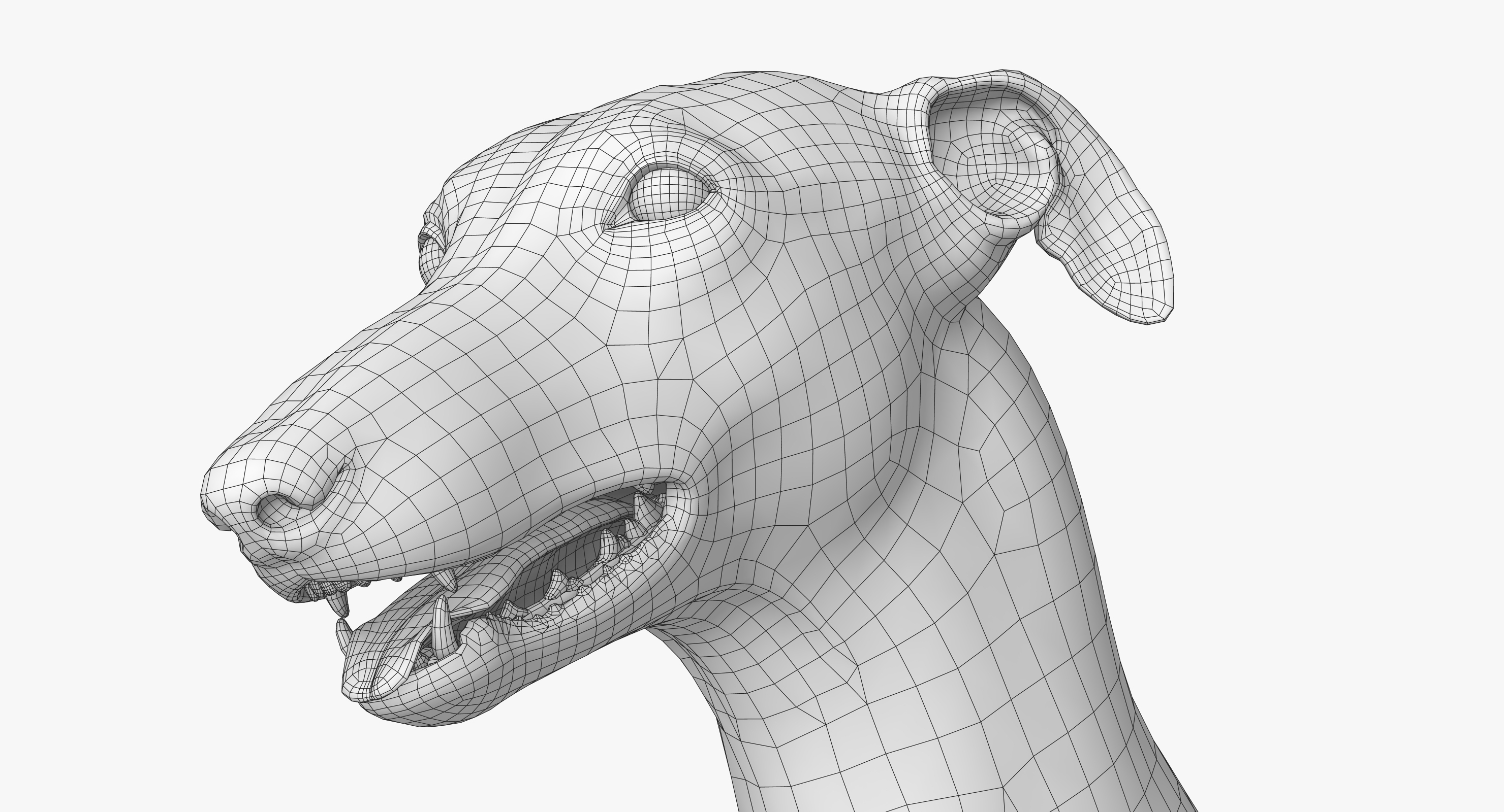 Modello 3D Greyhound Animated - TurboSquid 1654122