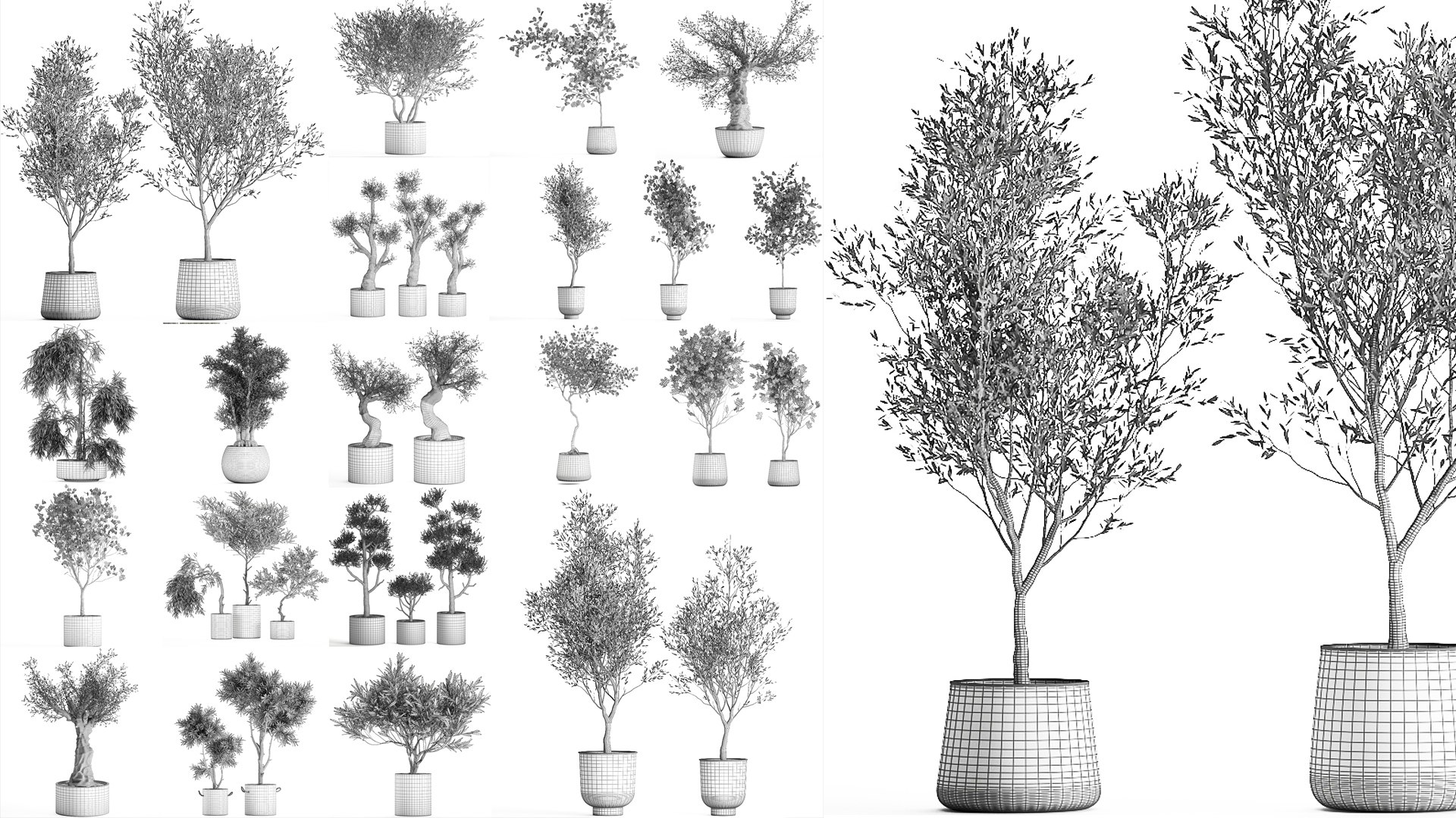 Collection Of Decorative Trees 31 Pieces 3D Model - TurboSquid 1816832