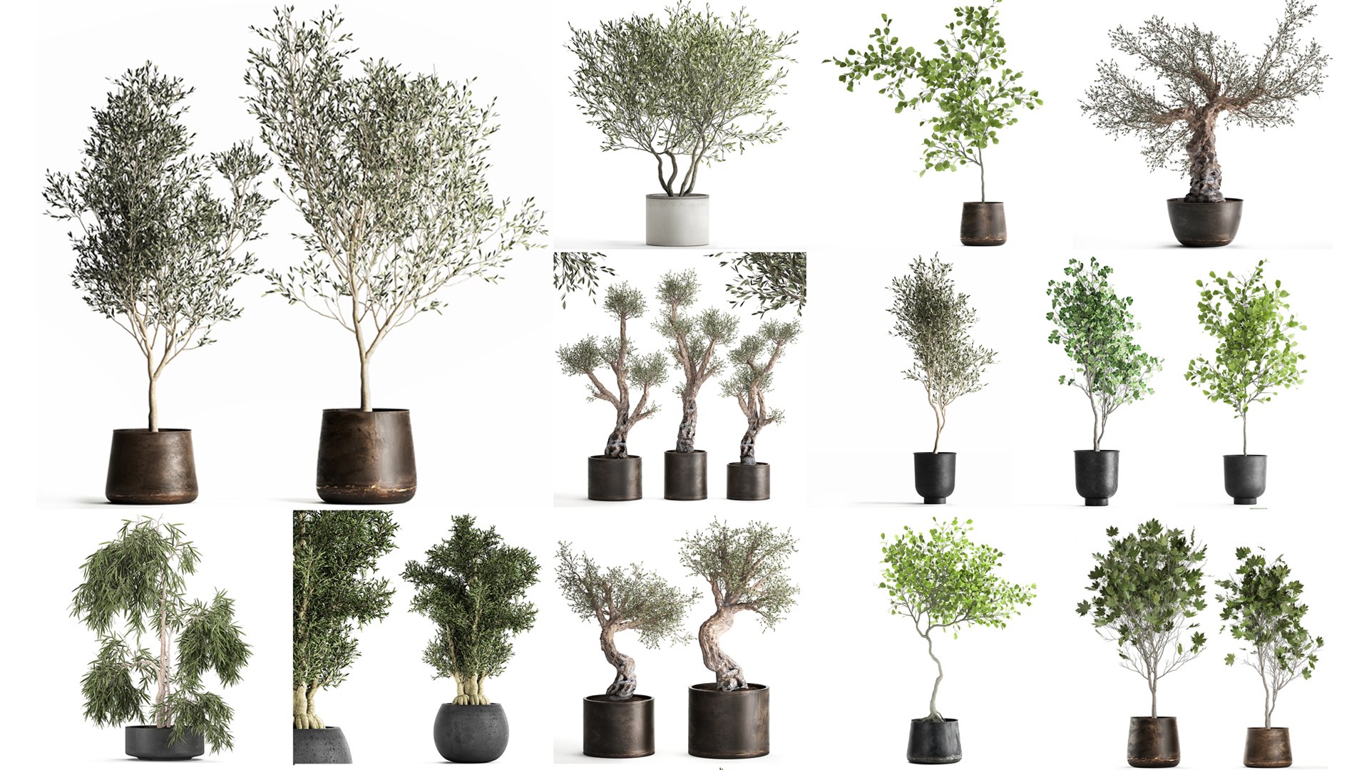 Collection Of Decorative Trees 31 Pieces 3D Model - TurboSquid 1816832