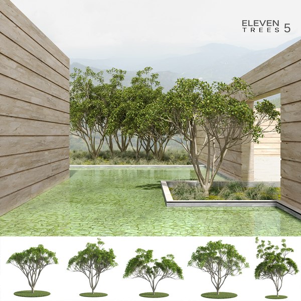 Park Blender Models for Download | TurboSquid