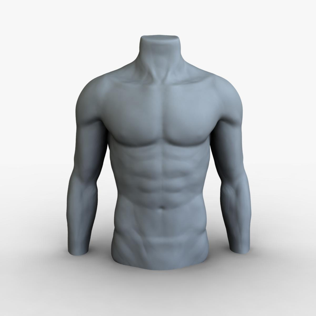 3d model male mannequin