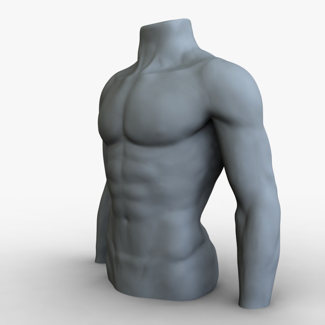 3d model male mannequin