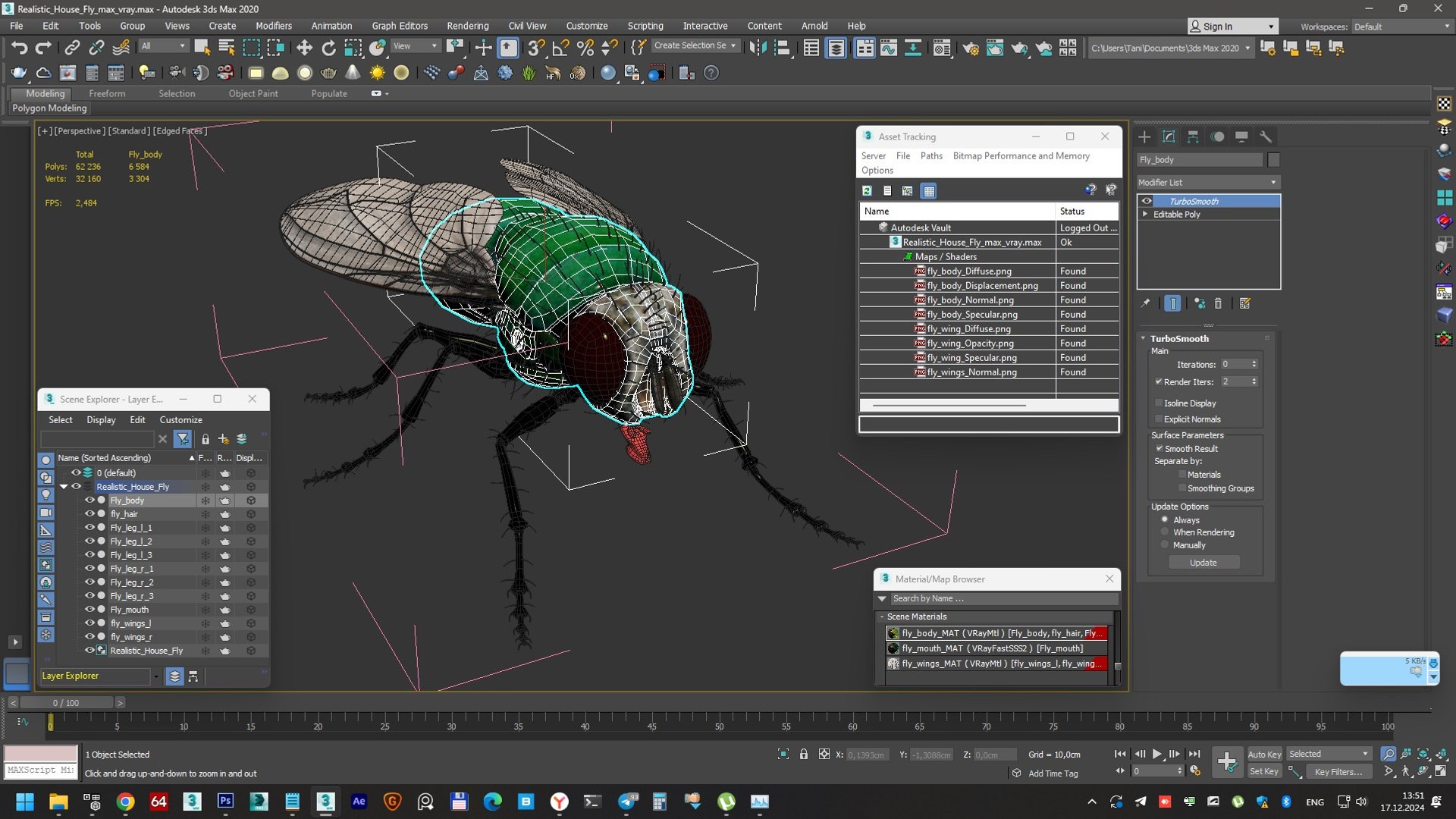 3D Realistic House Fly Model - TurboSquid 2329716