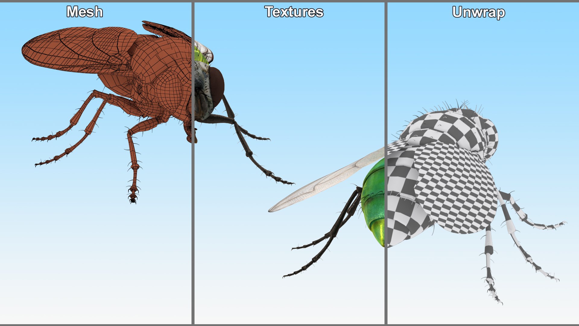 3D Realistic House Fly Model - TurboSquid 2329716