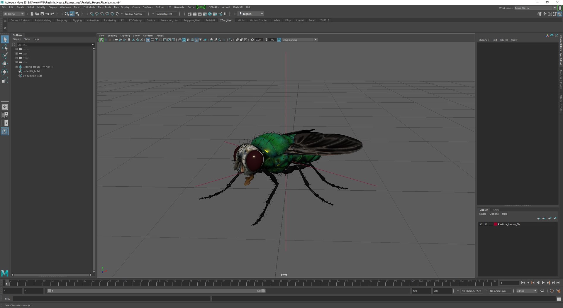 3D Realistic House Fly Model - TurboSquid 2329716