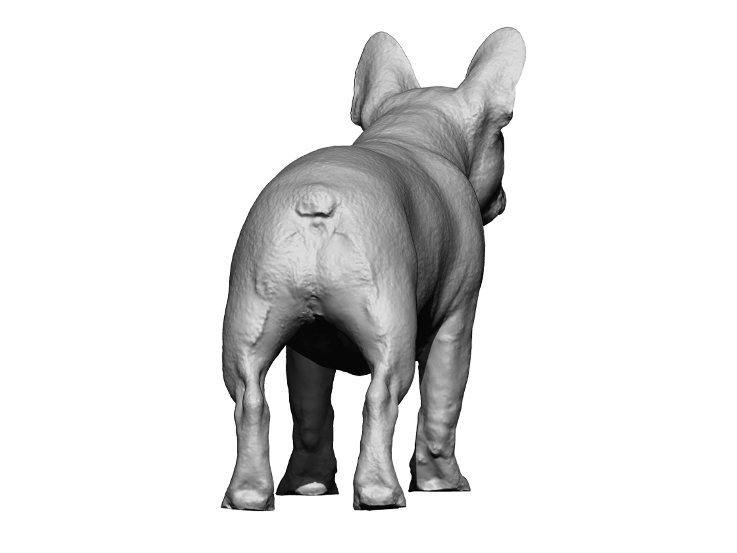 Dog Scanned Photogrammetry 3D Model - TurboSquid 1349137
