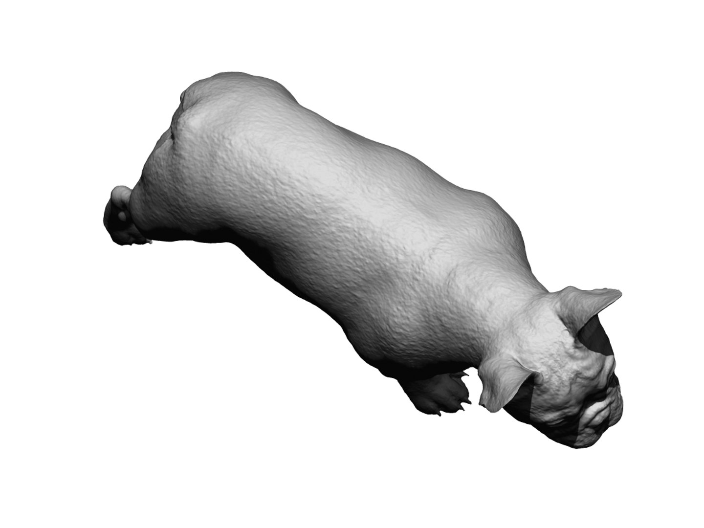Dog Scanned Photogrammetry 3D Model - TurboSquid 1349137