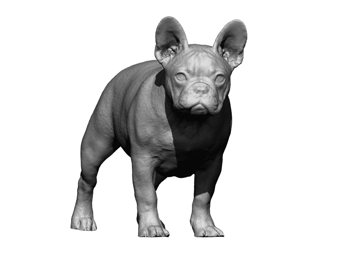 Dog Scanned Photogrammetry 3D Model - TurboSquid 1349137