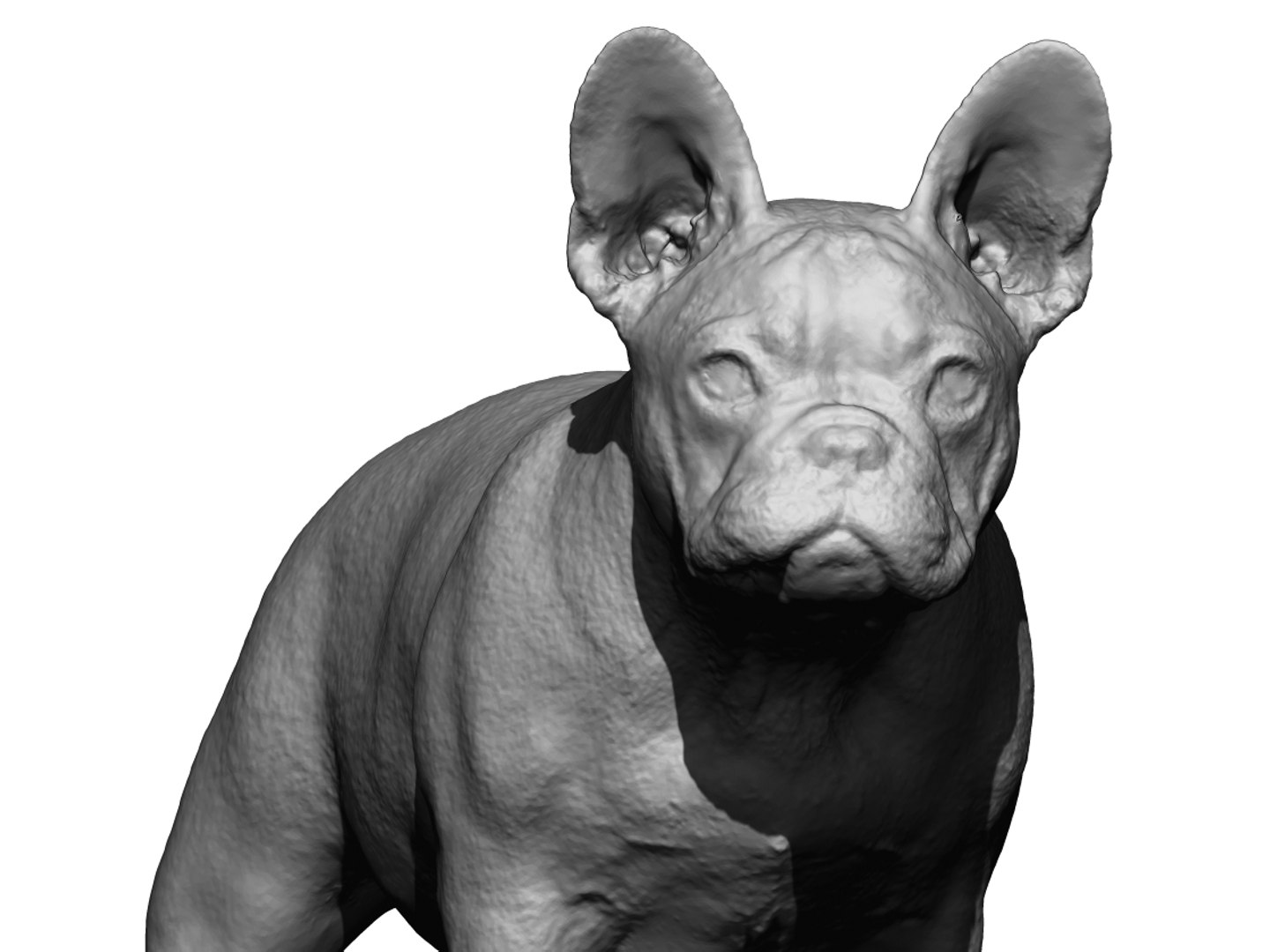 Dog Scanned Photogrammetry 3D Model - TurboSquid 1349137