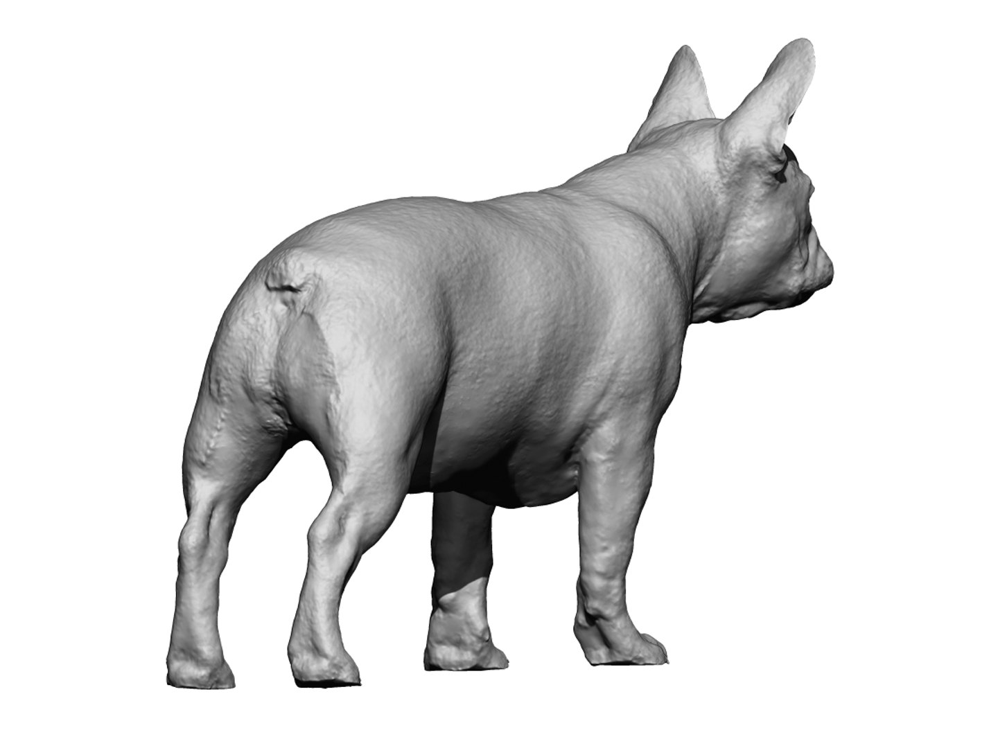 Dog Scanned Photogrammetry 3D Model - TurboSquid 1349137