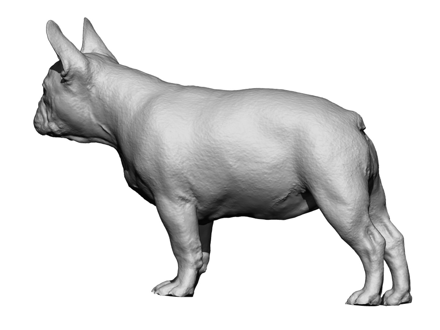 Dog Scanned Photogrammetry 3D Model - TurboSquid 1349137