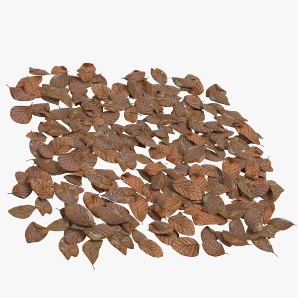 3D dead leaves module model - TurboSquid 1351712