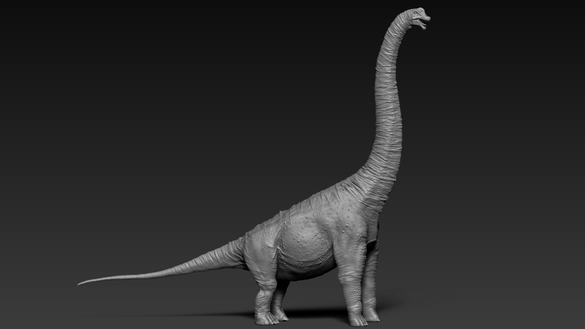 Brachiosaurus Sculpt Project 3D - TurboSquid 1992693