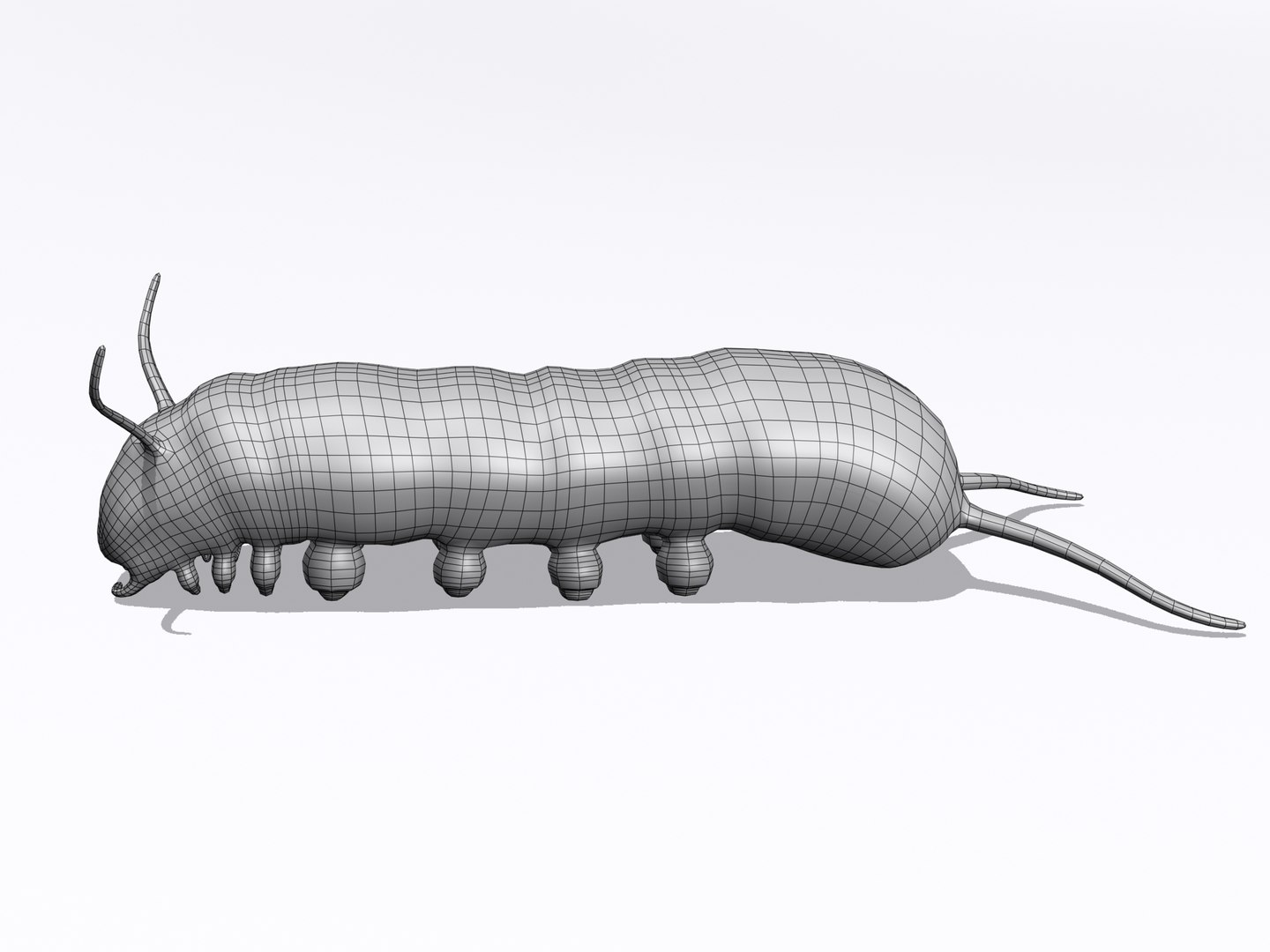 3d Monarch Butterfly Larva Model