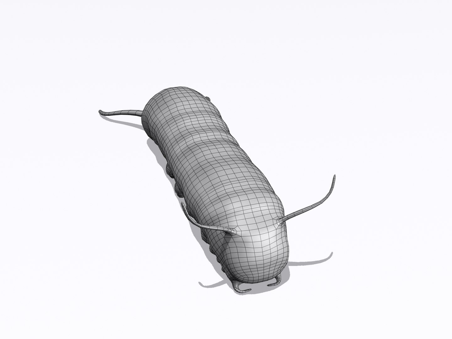 3d Monarch Butterfly Larva Model